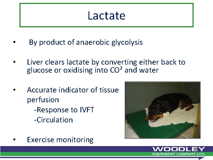 The Edge Handheld Lactate Analyser Rachel Hilton Dip