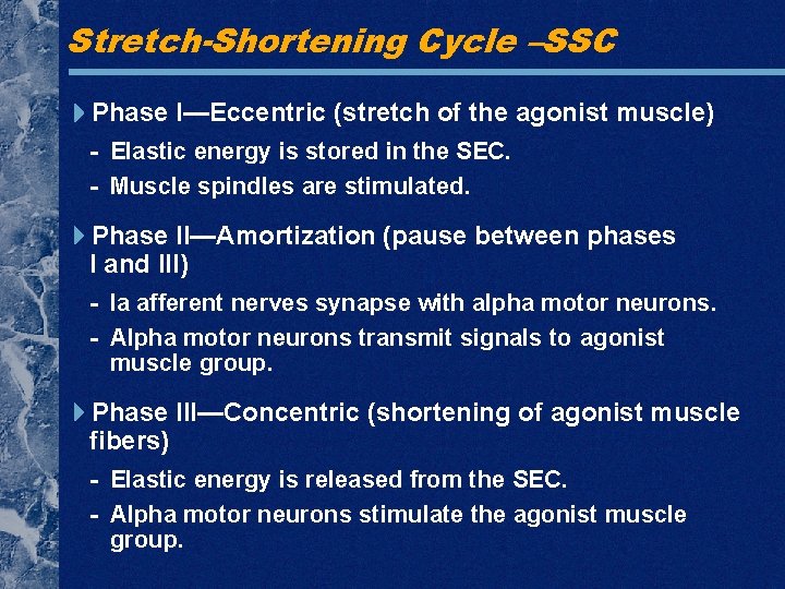 CHAPTER Plyometric Training 19 Chapter Outline Plyometric mechanics