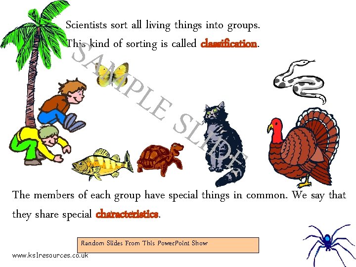 Scientists sort all living things into groups This