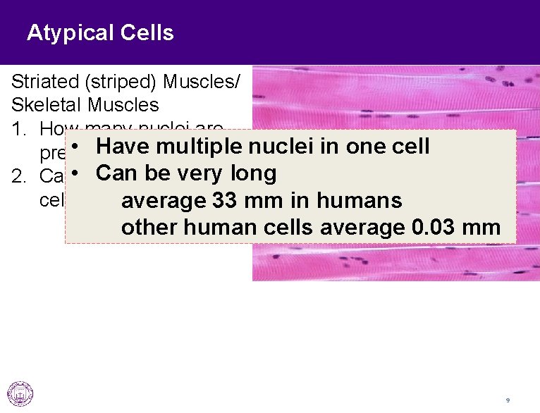 Unit 04 Cell Biology Lesson 01 Cell Theory