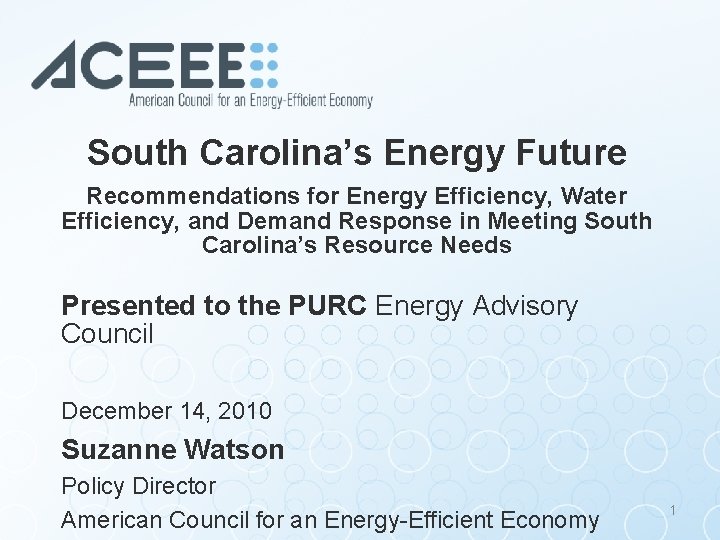 South Carolinas Energy Future Recommendations for Energy Efficiency