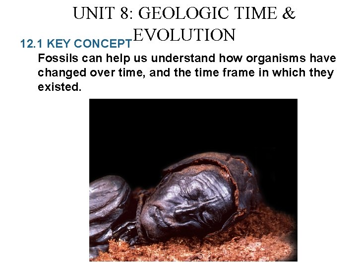 UNIT 8 GEOLOGIC TIME EVOLUTION 12 1 KEY
