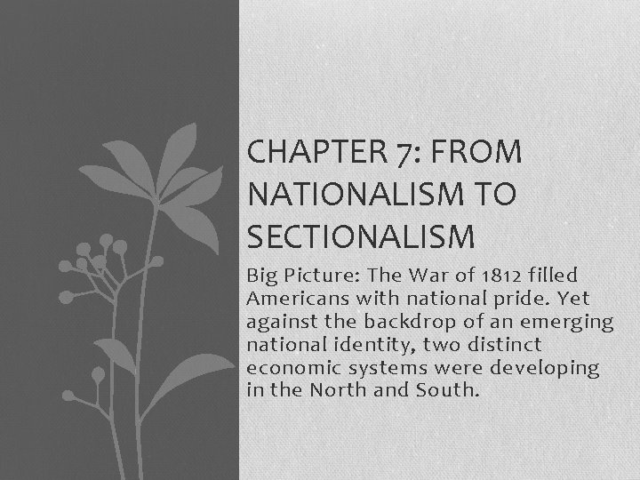 CHAPTER 7 FROM NATIONALISM TO SECTIONALISM Big Picture