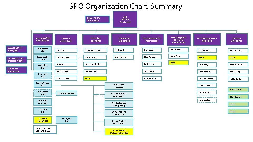 SPO Organization ChartSummary Deputy AD IT Terri Johnson