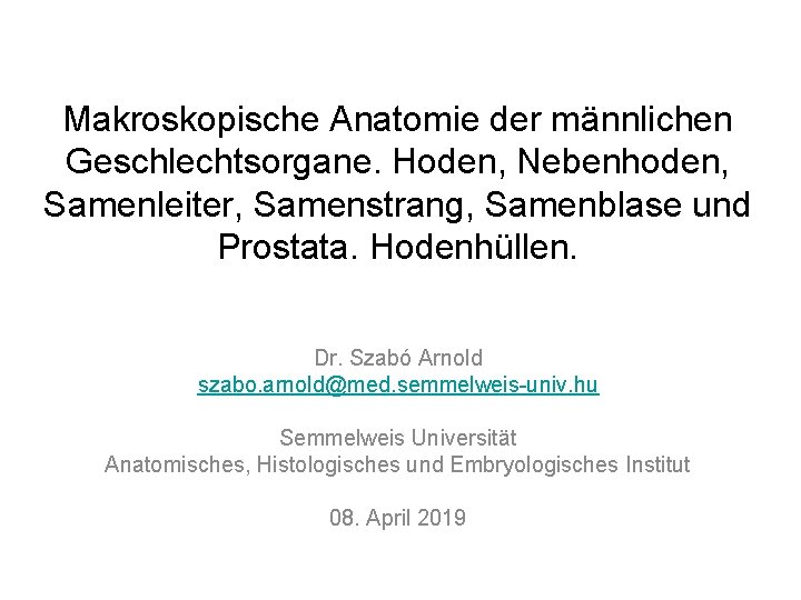 Makroskopische Anatomie der mnnlichen Geschlechtsorgane Hoden ...
