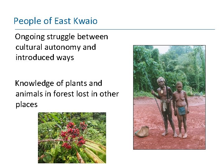 Traditional knowledge customary stewardship and strengthening practical ...