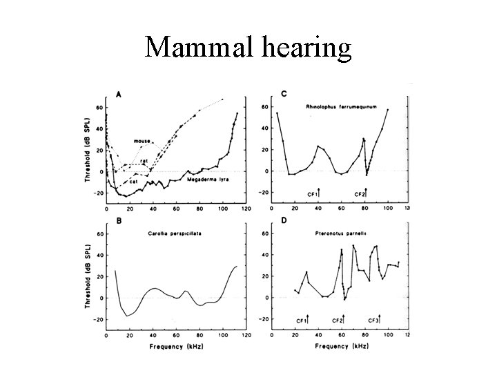 Sound Reception Types of ears Extraction of information