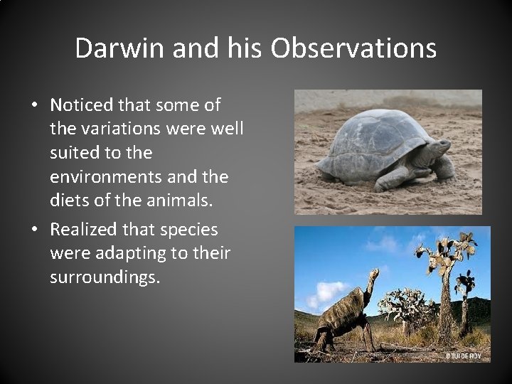 Principles of Evolution Activate Prior Knowledge Have you