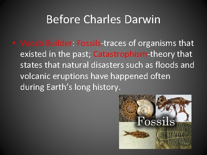 Principles of Evolution Activate Prior Knowledge Have you