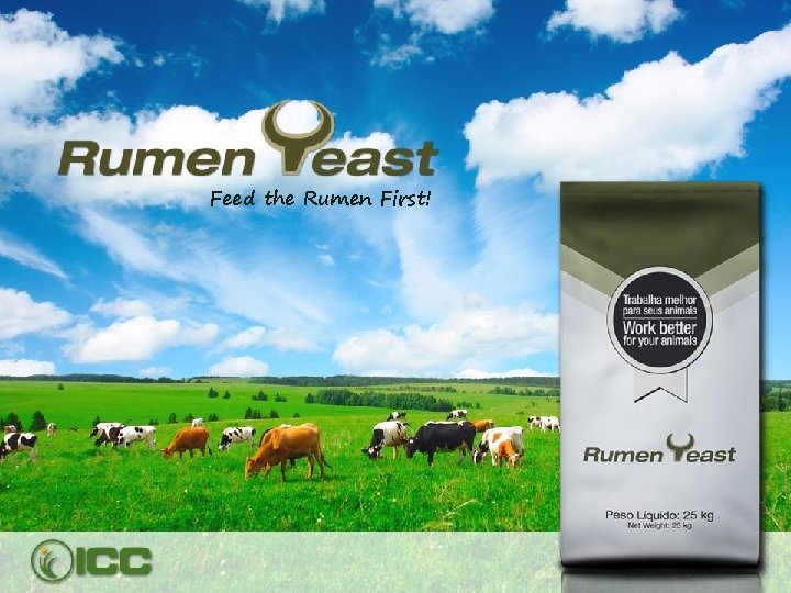 Feed the Rumen First CMO TRABAJA EL RUMEN