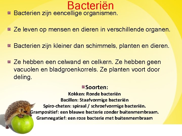 Bacterin Van Carolien van den Berg Mireille Lankheet