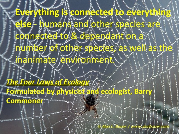The Four Laws of Ecology Formulated by physicist