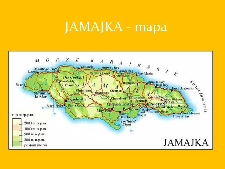 Justyna Sojko 12 lat klasa VIb Szkoa Podstawowa