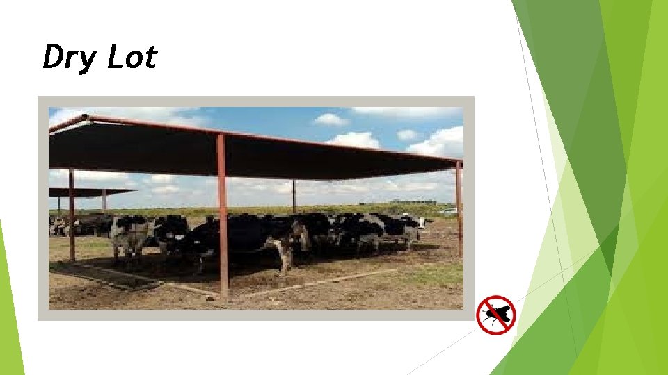 Control Biolgico Ecolgico de Moscas Diferentes Sistemas de