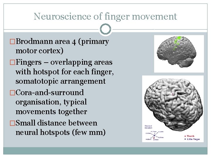 Predicting finger flexion from electrocorticography ECo G data