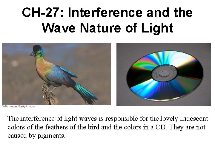 CH27 Interference and the Wave Nature of Light
