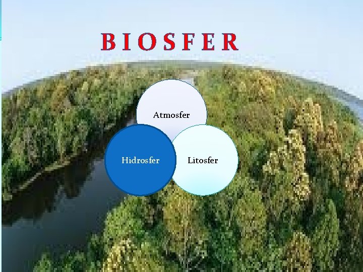 BIOSFER Atmosfer Hidrosfer Litosfer Tingkatan Ekologi Individu Populasi