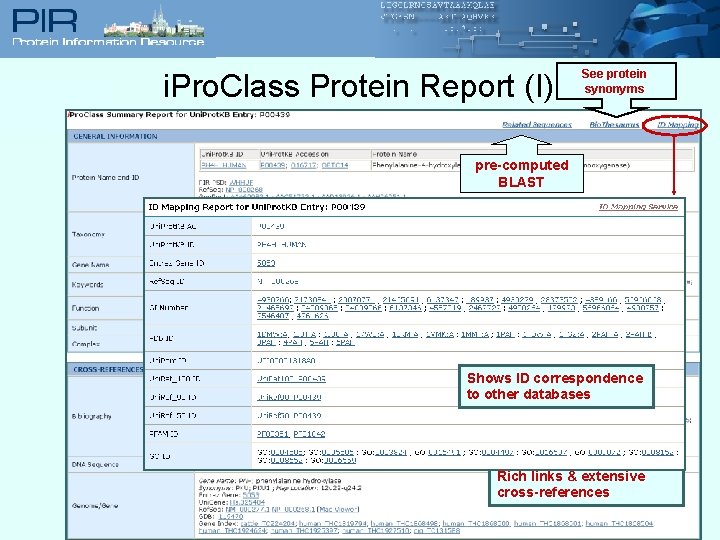 i Pro Class Protein Knowledgebase l Integration of