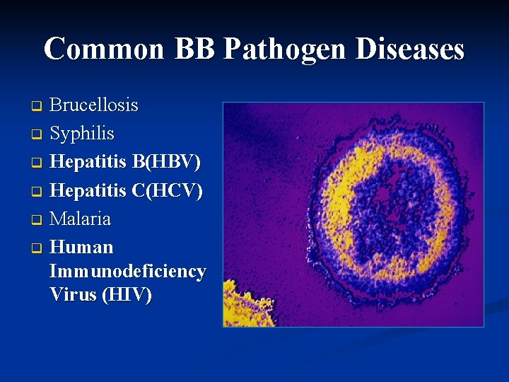 Presented by Will Strength What Are Bloodborne Pathogens