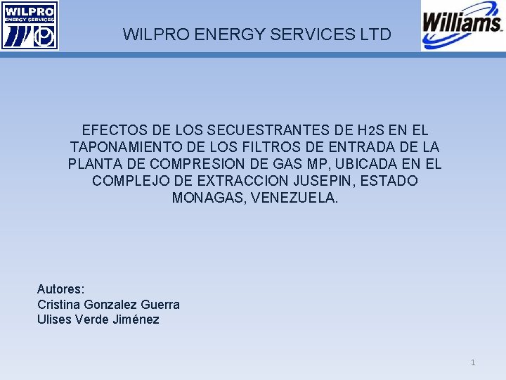 WILPRO ENERGY SERVICES LTD EFECTOS DE LOS SECUESTRANTES
