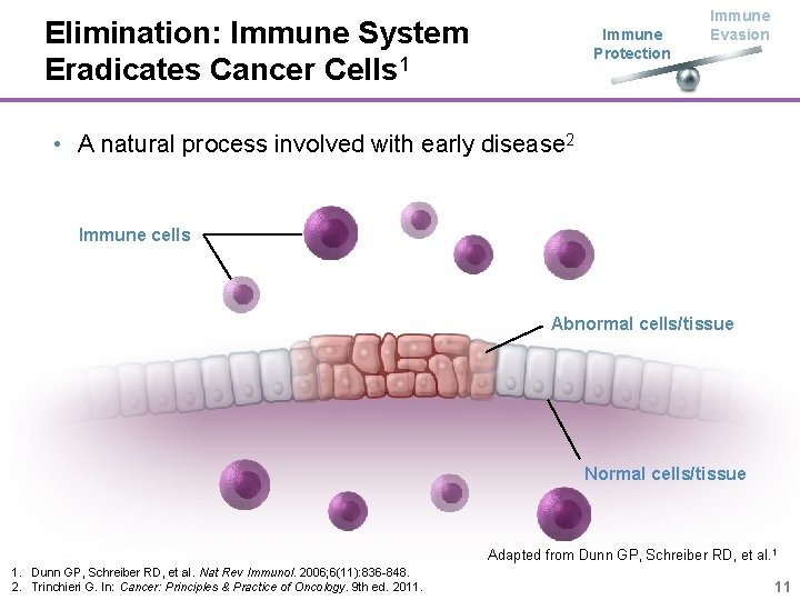 Cancer Immunotherapy Fundamental Concepts and Emerging Role Oncology