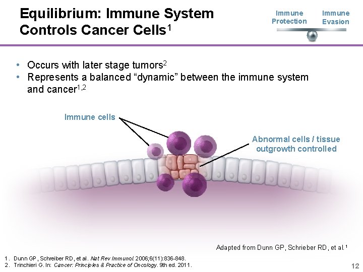 Cancer Immunotherapy Fundamental Concepts and Emerging Role Oncology