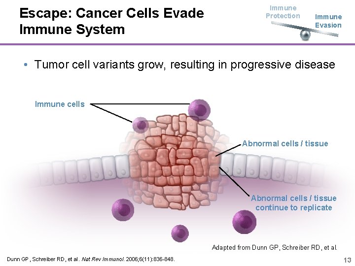 Cancer Immunotherapy Fundamental Concepts and Emerging Role Oncology