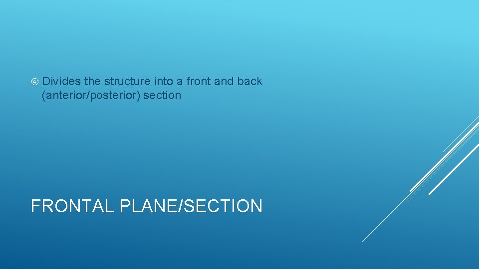 BODY PLANESSECTIONS How is a body divided Specific