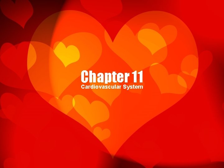 Chapter 11 Cardiovascular System The major function of