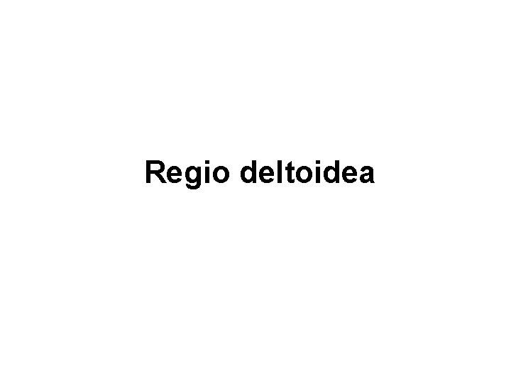 REGIONAL ANATOMY OF THE UPPER LIMB Regio deltoidea