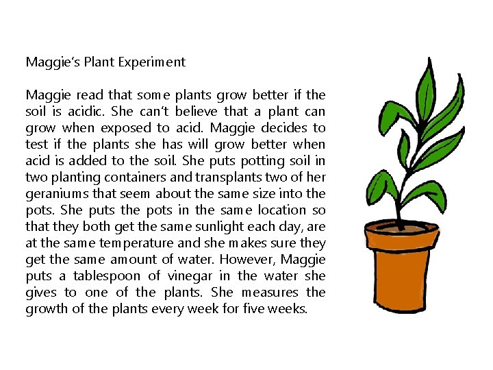Maggies Plant Experiment Maggie read that some plants