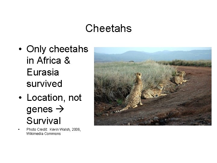 Evolution Part 1 BIOL 1407 Evolution Heritable genetic