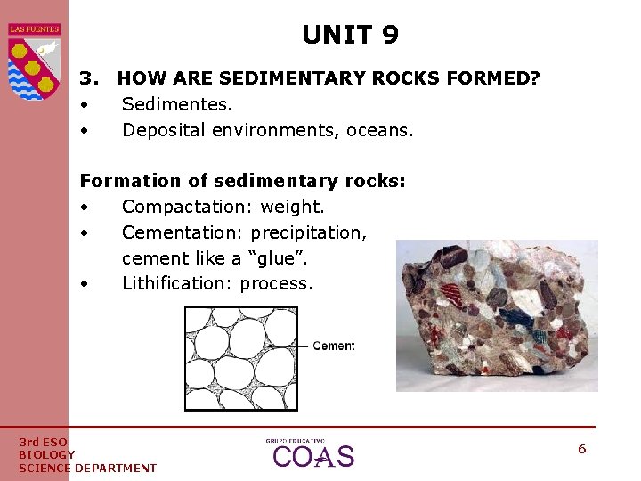 BIOLOGY 2 ESO Curso 2011 2012 SCIENCE DEPARTAMENT