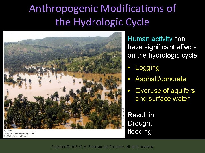 Biogeochemical cycles move water and many elements through