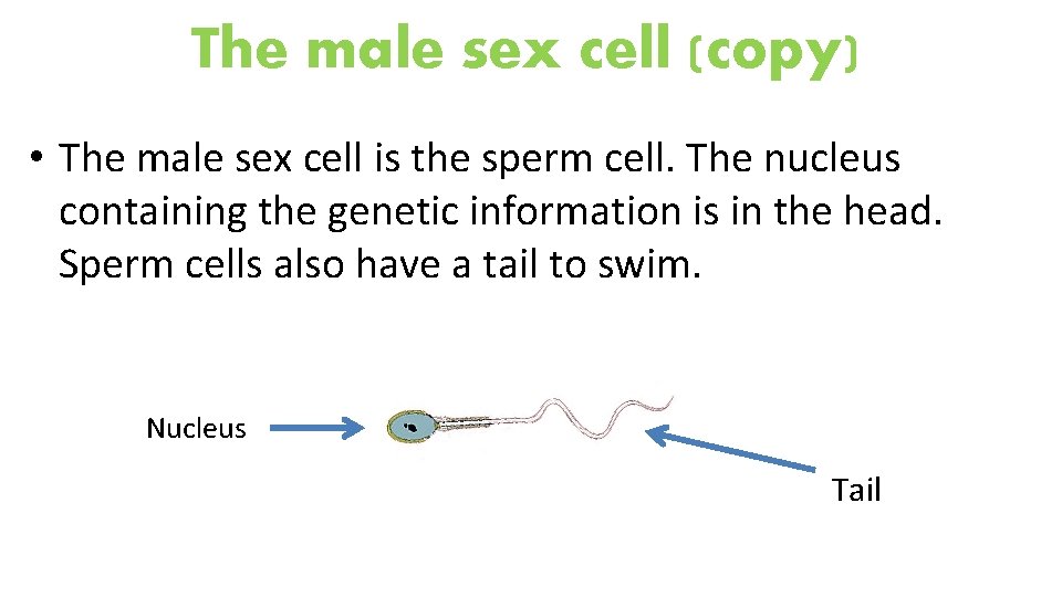 Learning intention To label the male and female