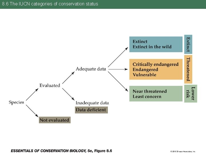 Species and their vulnerability to extinction Before species