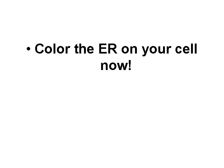 Setting our Cytes Ahead Part 2 Remember CELLS