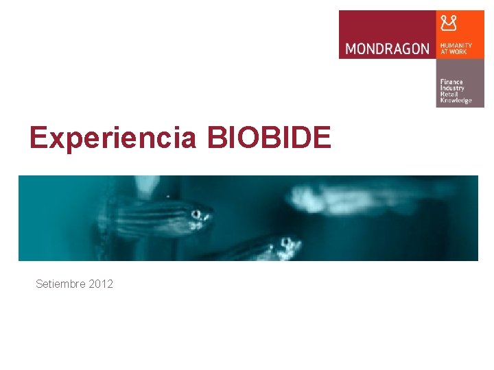Experiencia BIOBIDE Setiembre 2012 Definicin y encuadre proyecto
