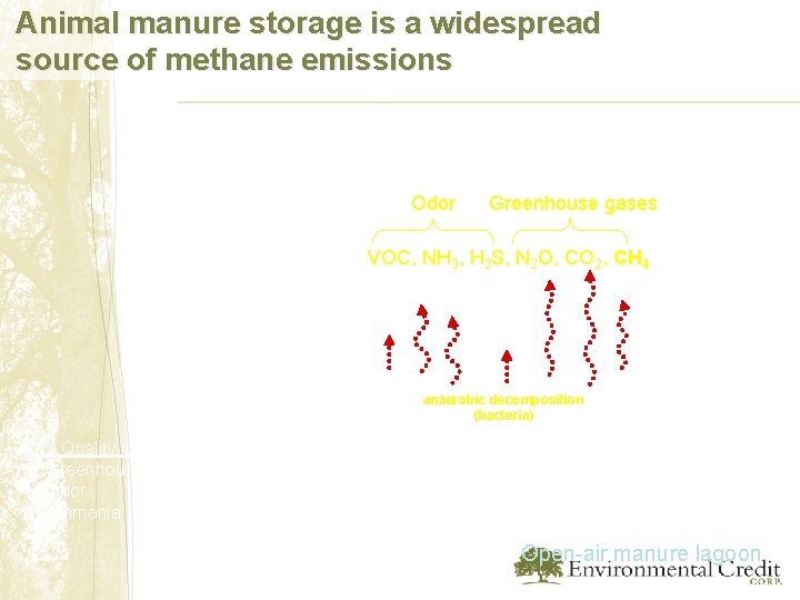 CAR Livestock Methane Protocol Project Case Study Scott