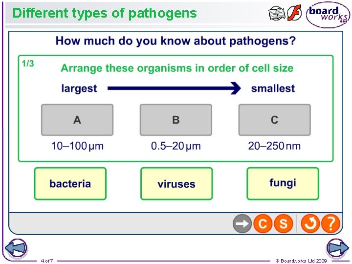 1 of 7 Boardworks Ltd 2009 Pathogens and