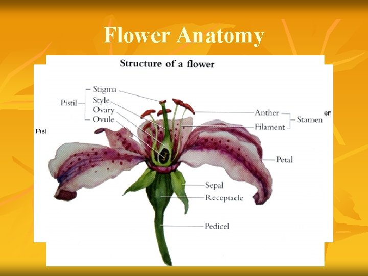 Chapter 10 Plant Reproduction Ch 10 1 Intro