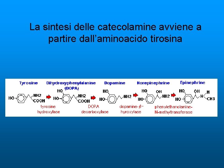 FARMACOLOGIA DEL SISTEMA NERVOSO AUTONOMO SIMPATICO Il sistema