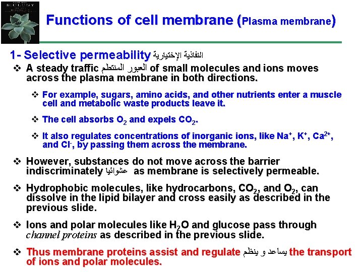 CHAPTER 5 MEMBRANE STUCTURE THE STRUCTURE AND FUNCTION