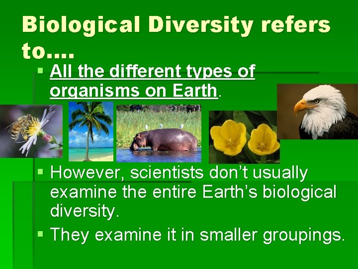Biological diversity is reflected in the variety of
