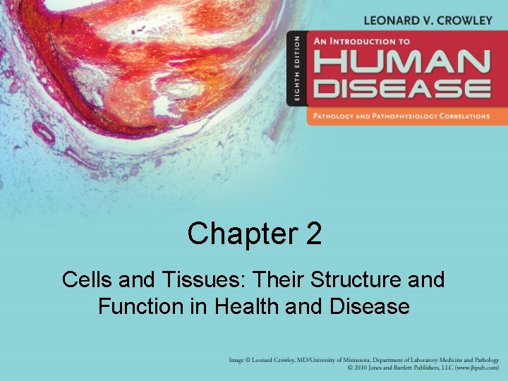 Chapter 2 Cells and Tissues Their Structure and
