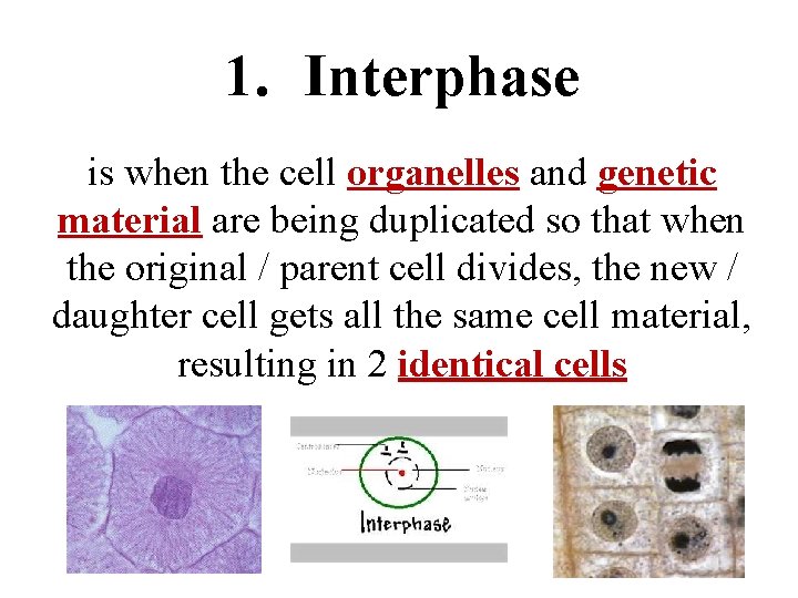 What are the functions of cell division Cell
