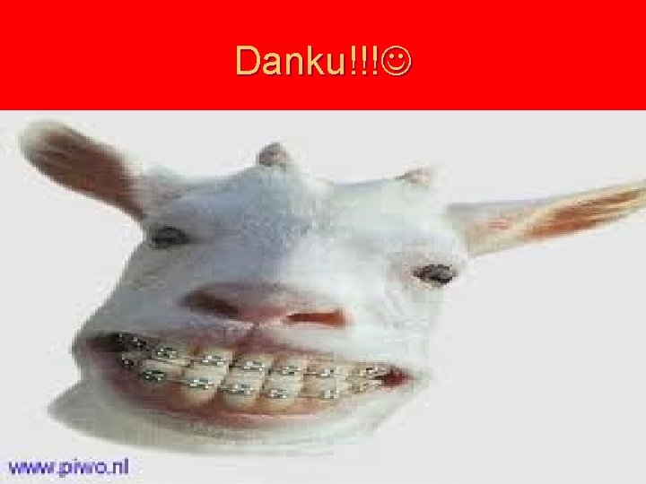 zwemmergie Van Nikola Anouk en Olivia Inhoud Bronnen