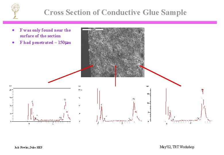 SEM Analysis of Radiation Test Samples at Duke
