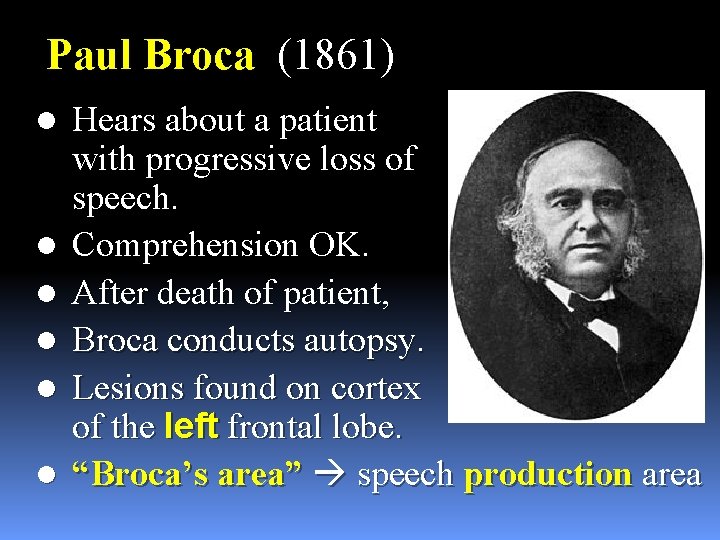 Neuroscience Techniques Intentional brain damage Lesions surgical ...