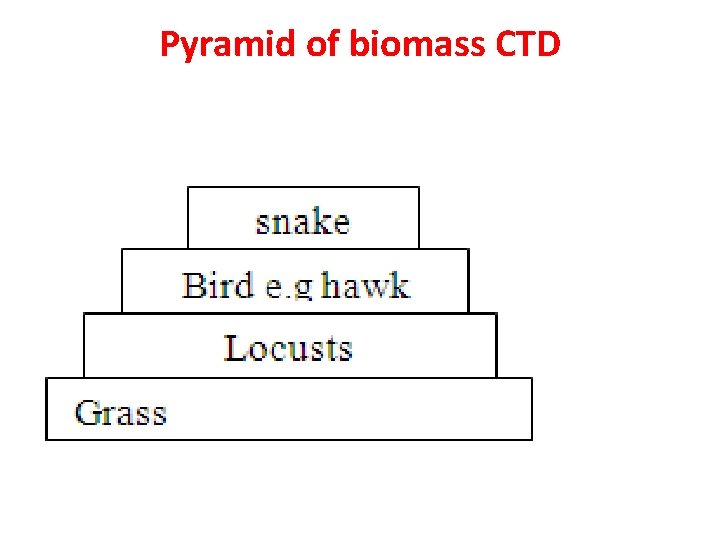 ECOLOGY COMPONENTS OF THE ECOSYSTEM ABIOTIC FACTORS Climatic